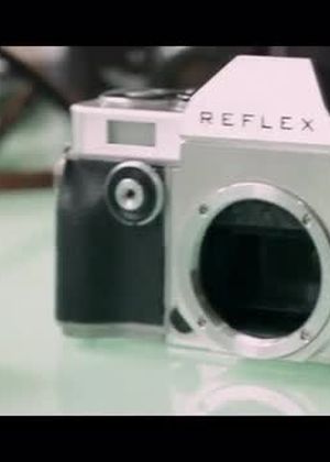 Reflex | Webnews